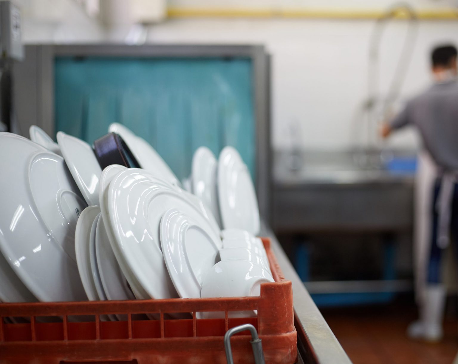 Kitchen Porter- Part time - Thetford Garden Centre